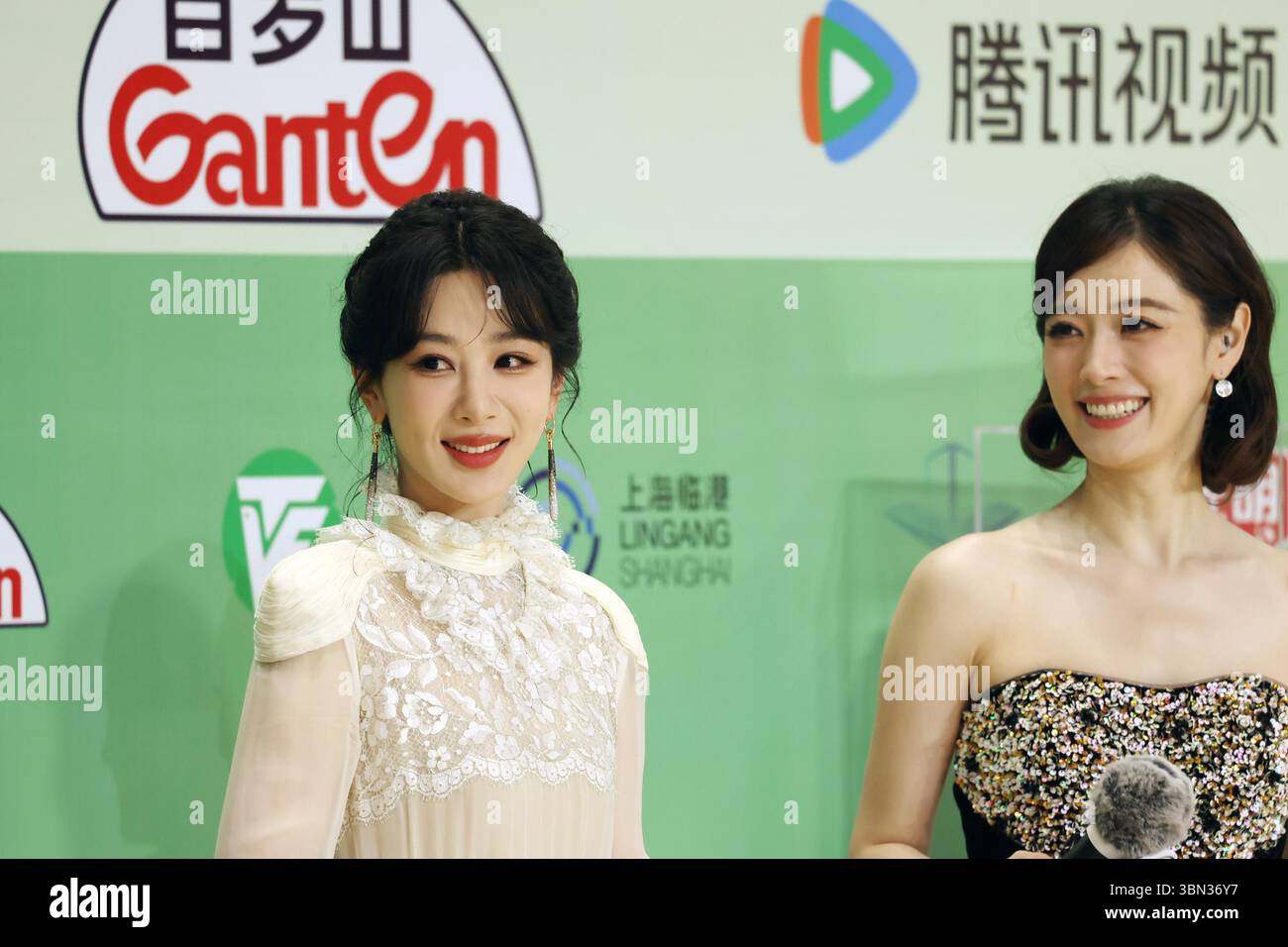 Chinese actress and singer Yang Zi attends the 30th Shanghai Television ...