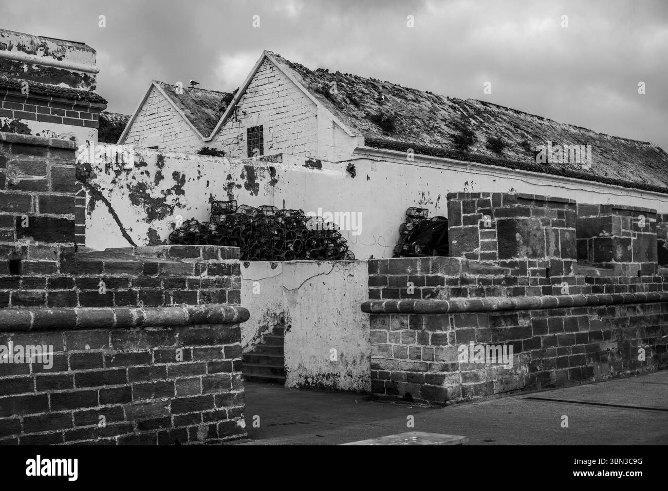 Low point view image Black and White Stock Photos & Images - Alamy