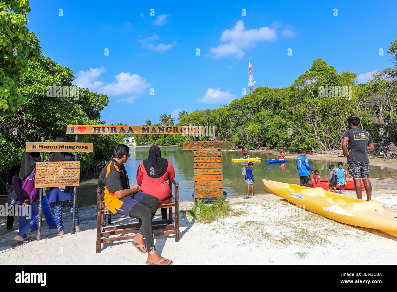 The Huraa mangrove swamp on Huraa Island, Maldives, Indian Ocean, Asia ...