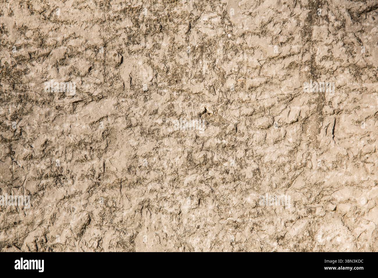 Textured rocky soil surface is being shown in flat design arid ground ...