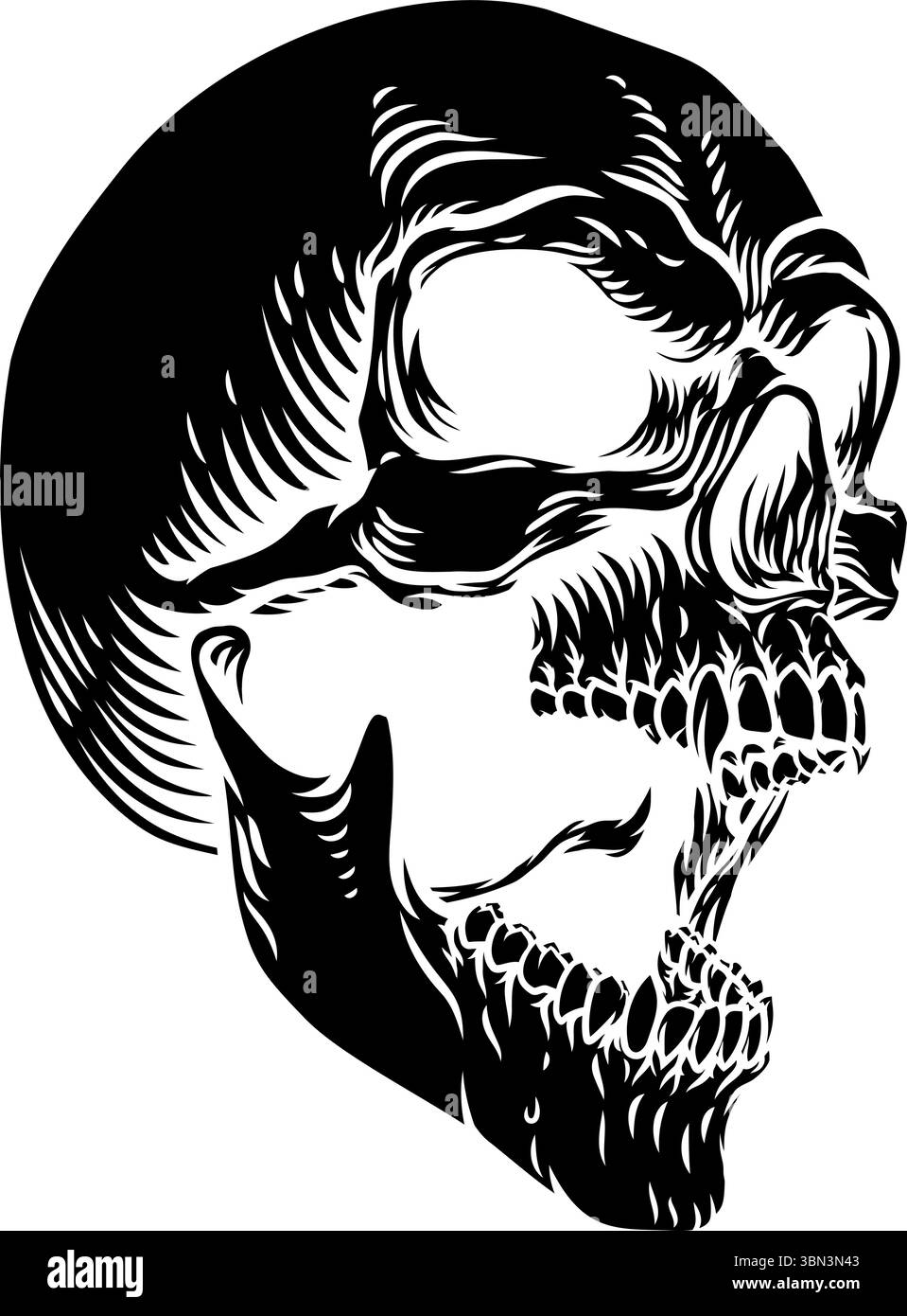 Skeleton drawing clipart vintage Black and White Stock Photos & Images ...
