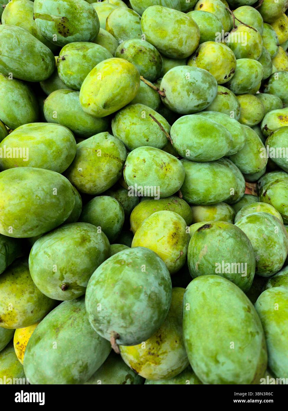 Fresh fruits mangos on hi-res stock photography and images - Alamy