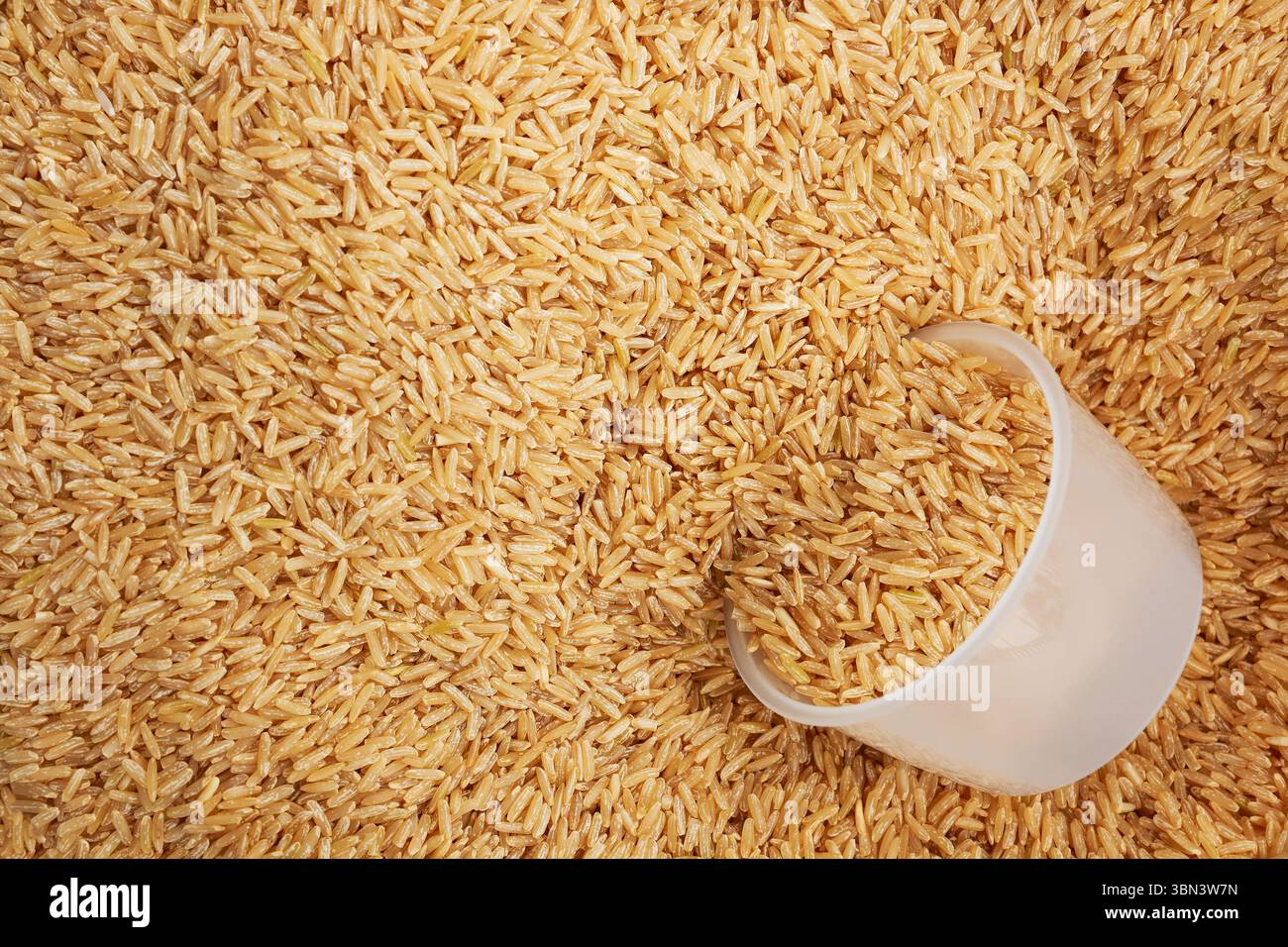 Thailand rice paddy plastic hi-res stock photography and images - Alamy