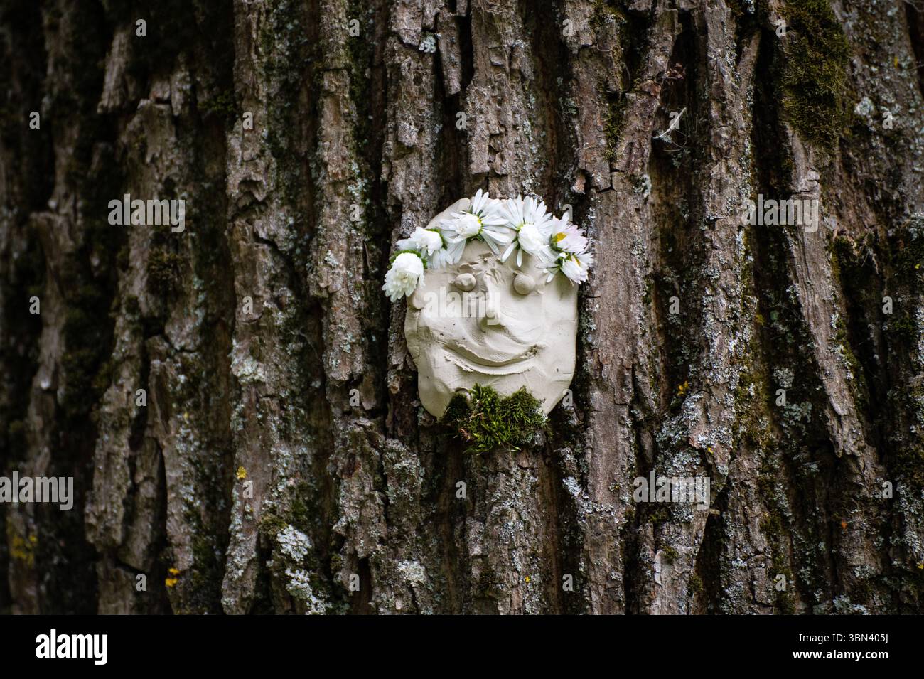 Monster face on tree with sharp thorns and warts. Tree spirit and ...