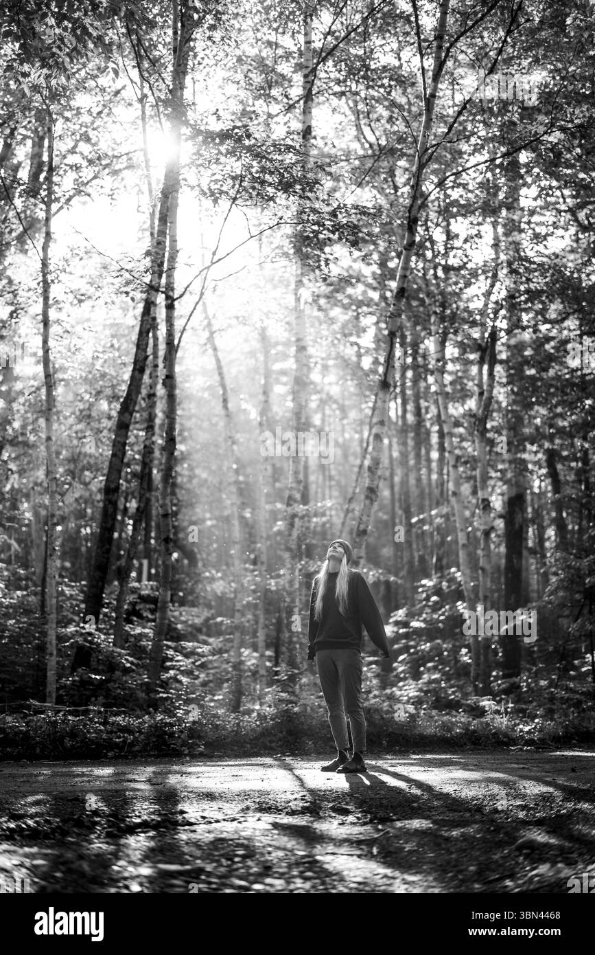 Sunlight in woods Black and White Stock Photos & Images - Alamy