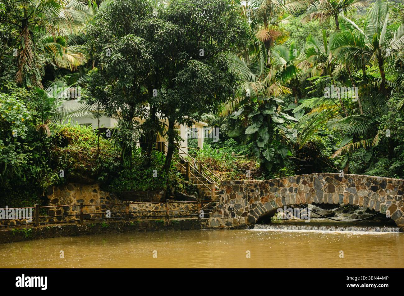 Stone bridge over pond at Baño Grande in El Yunque, Puerto Rico Stock ...