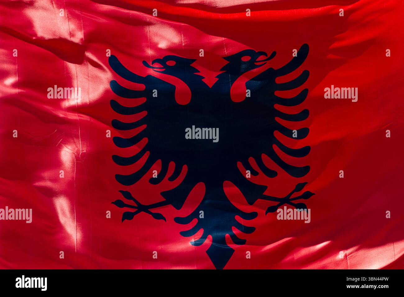 Double-headed eagle, symbol of the flag of Albania Stock Photo - Alamy