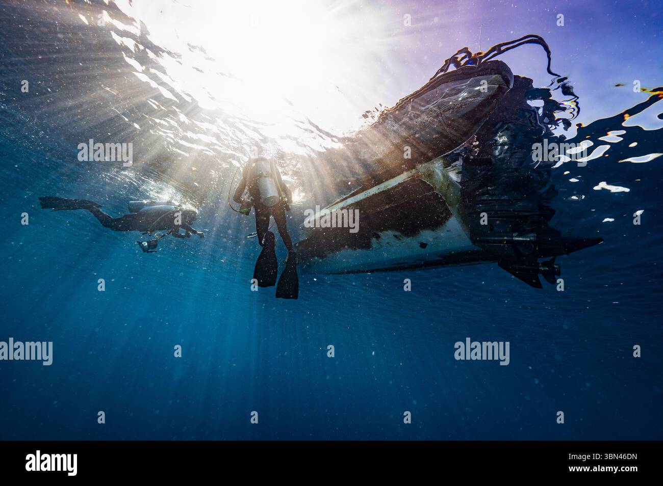 Woman diver on boat hi-res stock photography and images - Alamy