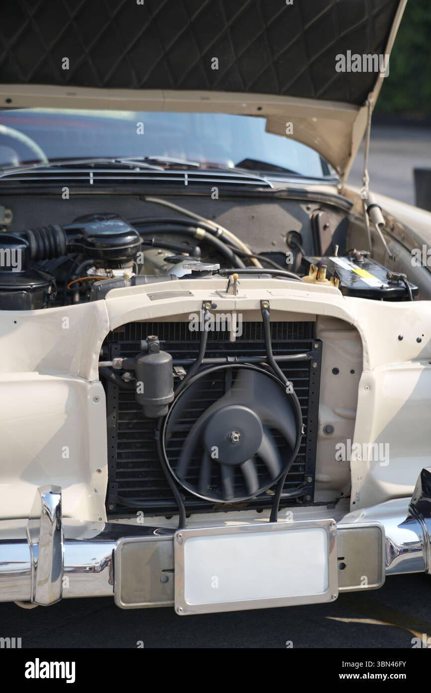The engine and battery compartment of a classic car, with its detailed ...