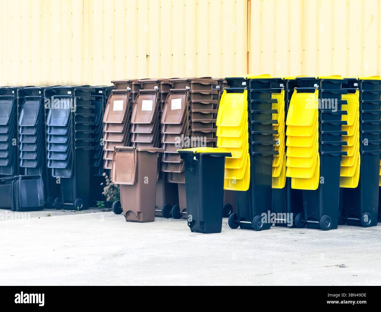 Selective colour selective color hi-res stock photography and images ...