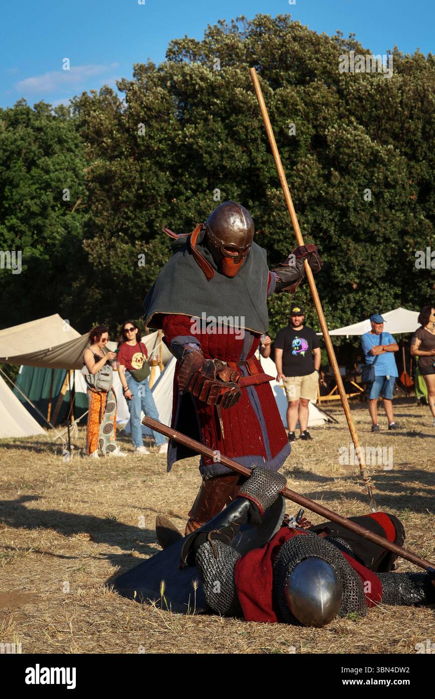 Ladispoli (RM), Italy - June 28, 2025: The Drakkar Viking Fest is a ...