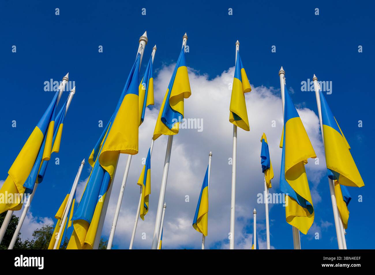 Flags commonwealth of independent states hi-res stock photography and ...