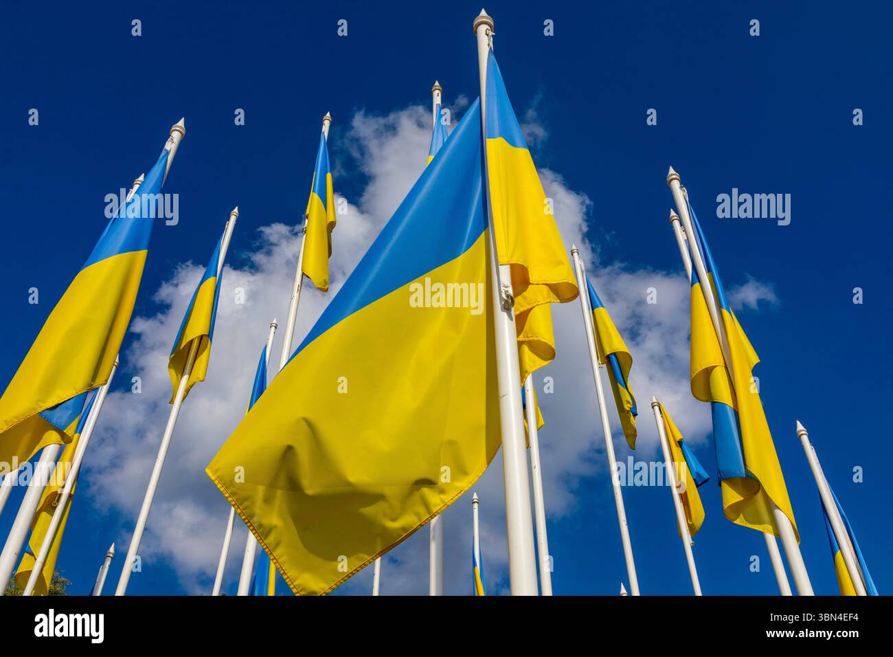 Ukrainian flags on cloudy sky background Stock Photo - Alamy