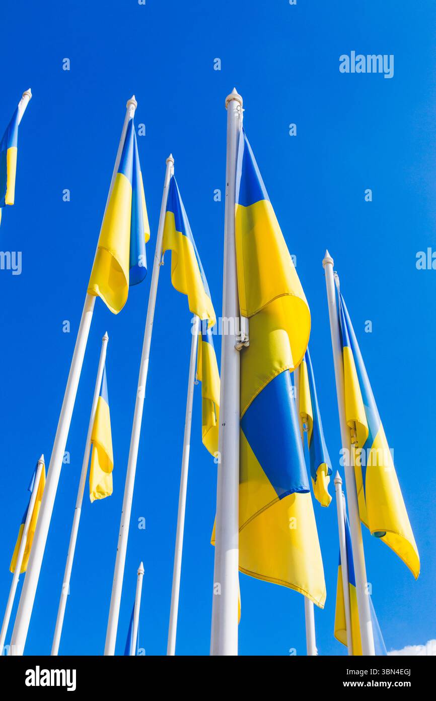 Ukrainian russian flags against background hi-res stock photography and ...