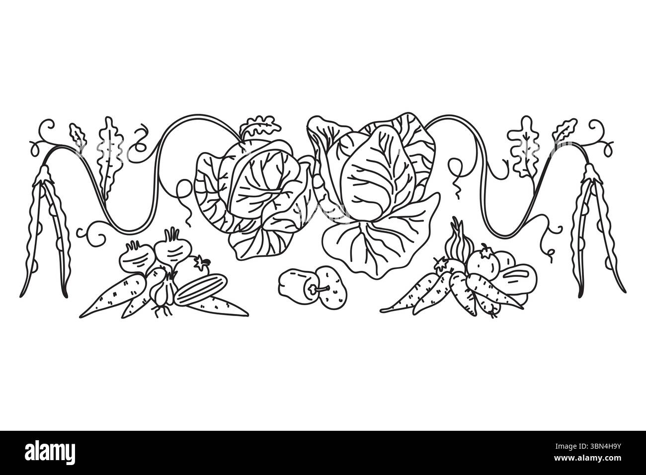 Line art botanical decorative different vegetables horizontal border ...