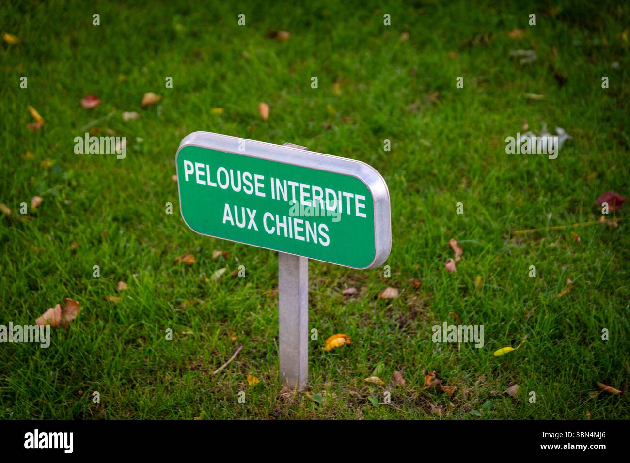 Sign indicating no dogs on lawn Stock Photo - Alamy
