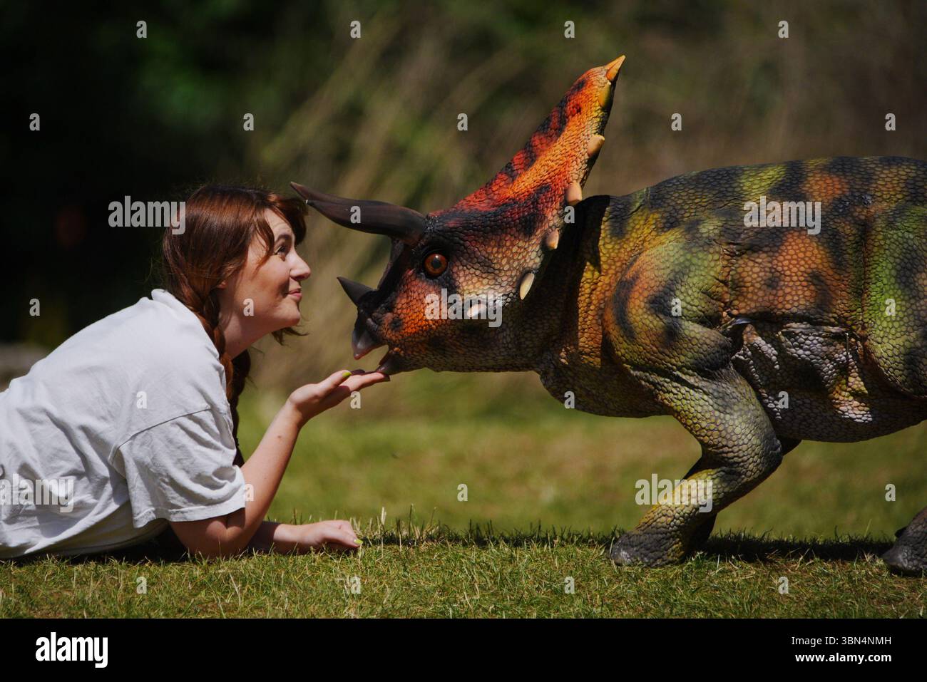 People interact with a life-size animatronic dinosaur as its operator ...