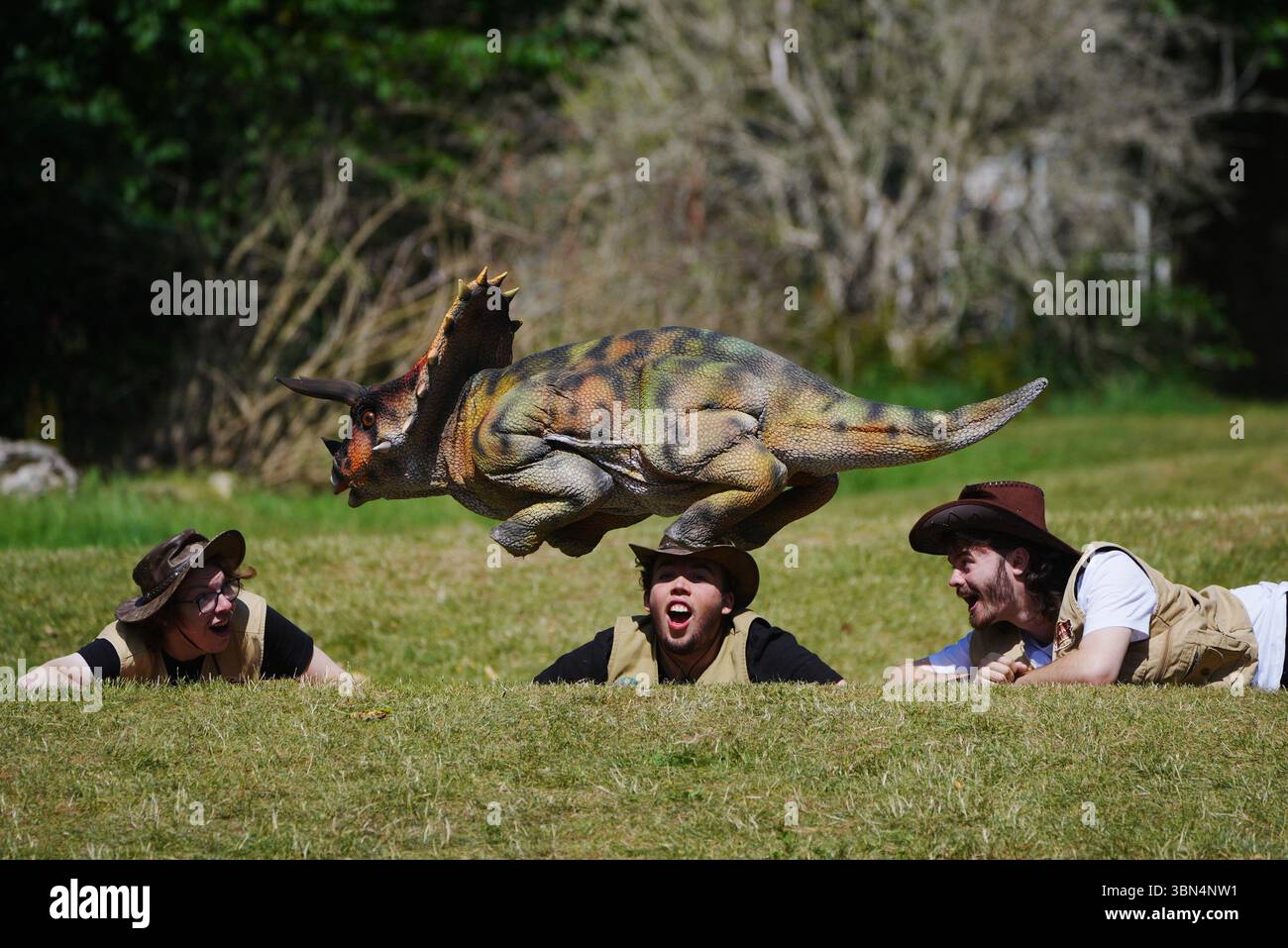 People interact with a life-size animatronic dinosaur as its operator ...