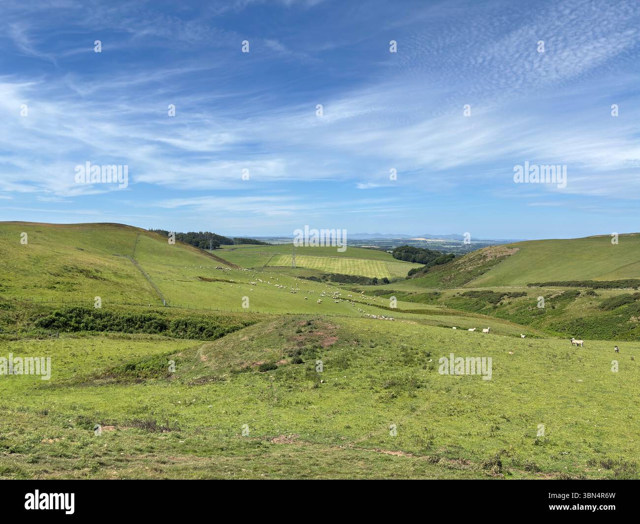 Wide rolling moorland of the Lammermuir Hills near Lammerlaw Hill, East ...