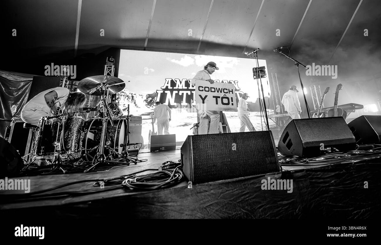 Gruff rhys Black and White Stock Photos & Images - Alamy