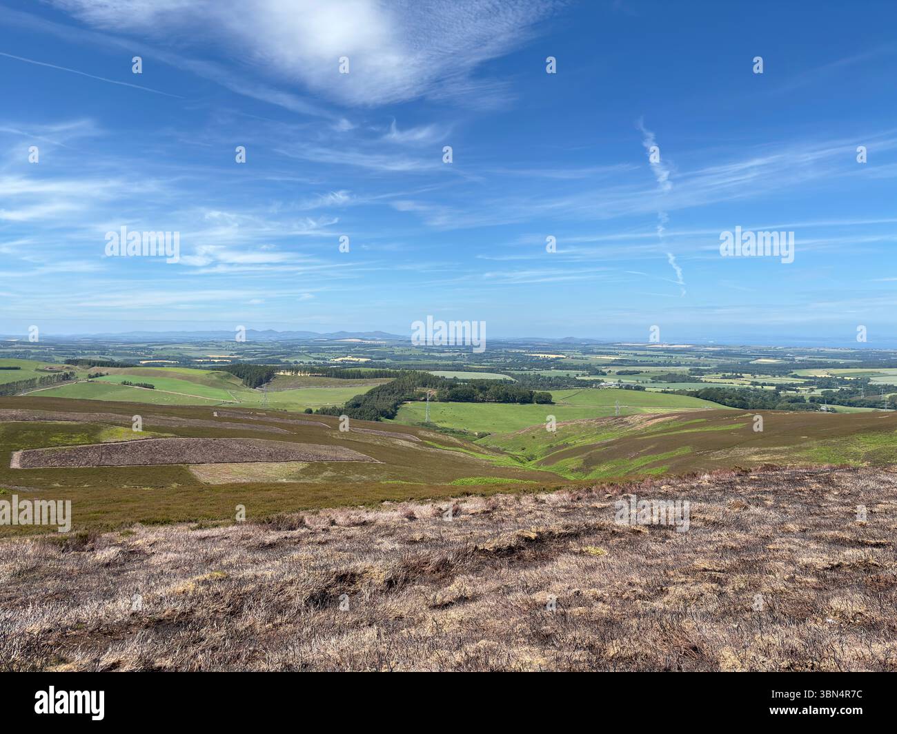 Wide rolling moorland of the Lammermuir Hills near Lammerlaw Hill, East ...