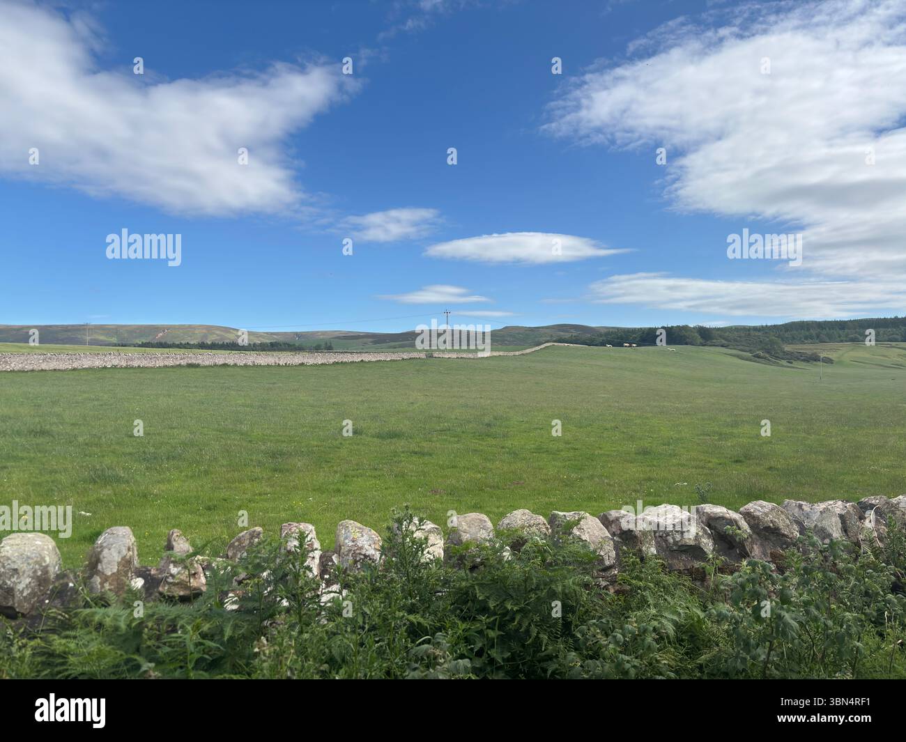 Wide rolling moorland of the Lammermuir Hills near Lammerlaw Hill, East ...