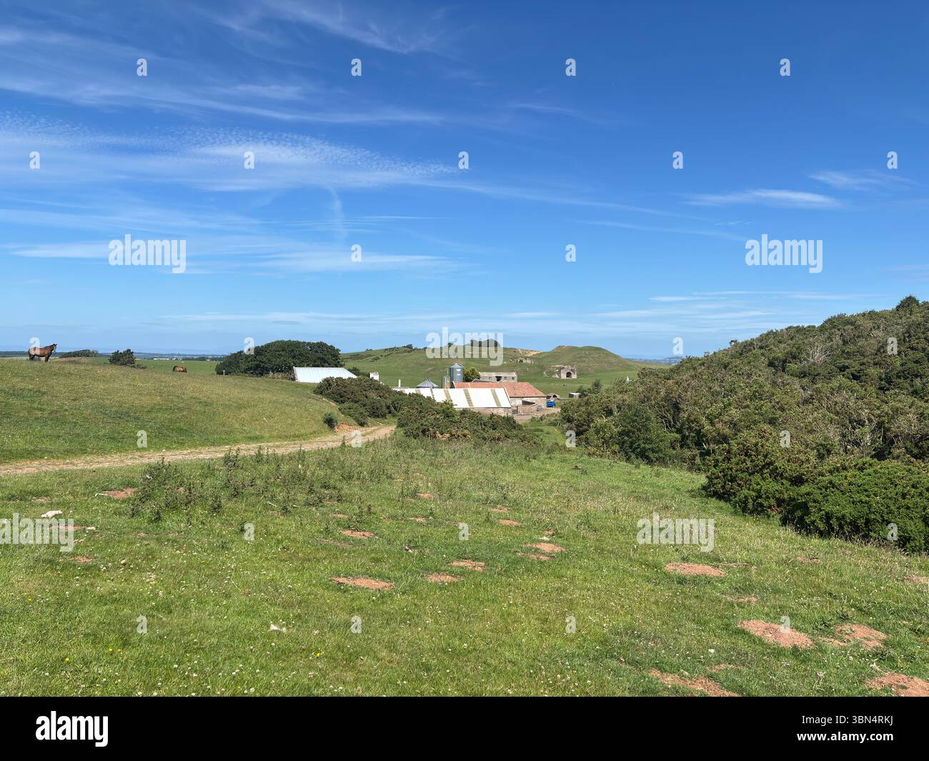 Wide rolling moorland of the Lammermuir Hills near Lammerlaw Hill, East ...