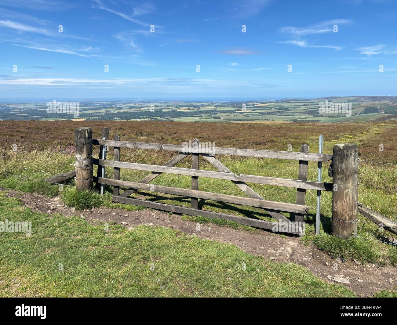 Wide rolling moorland of the Lammermuir Hills near Lammerlaw Hill, East ...
