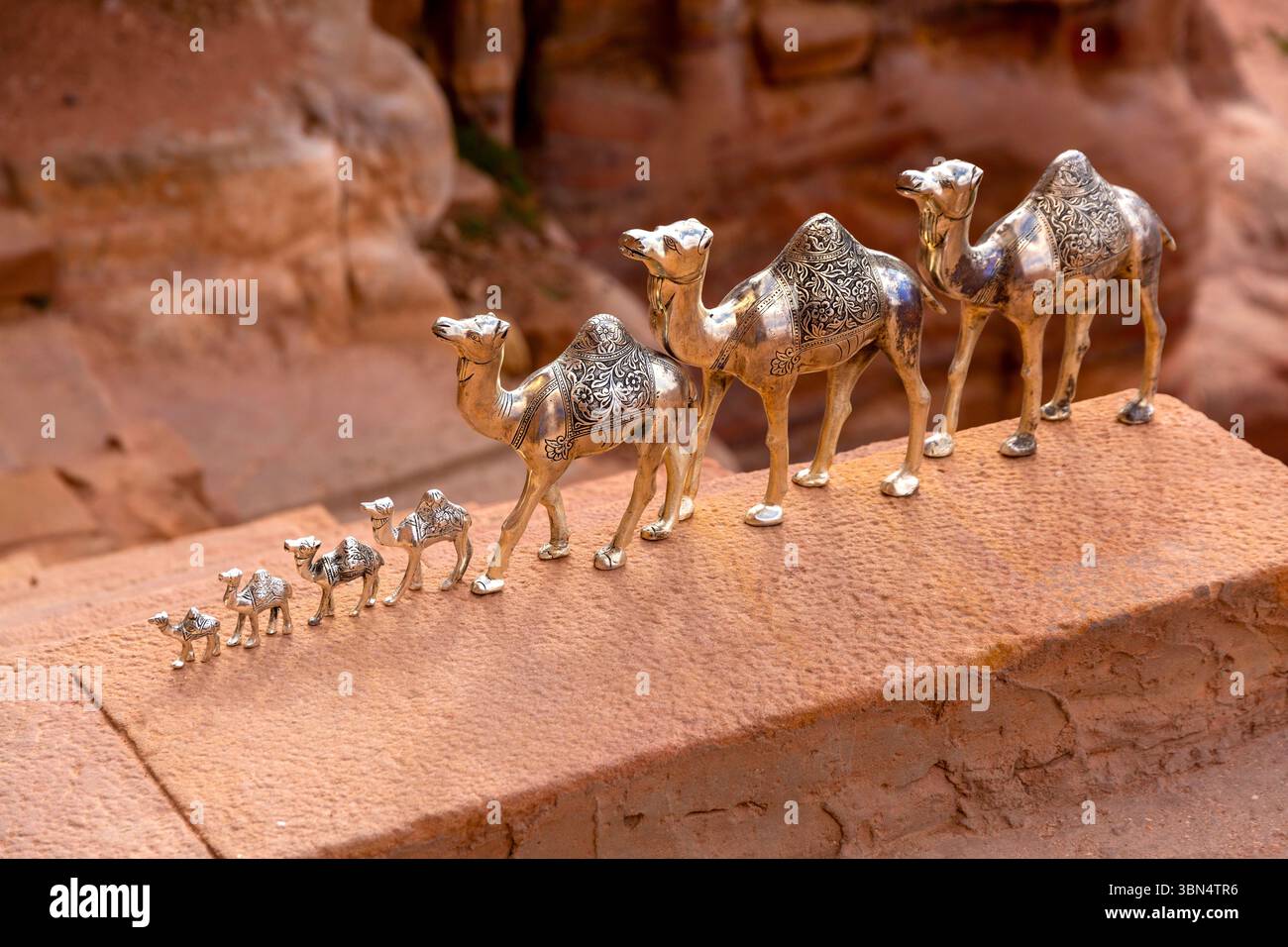 Silver camel hi-res stock photography and images - Alamy