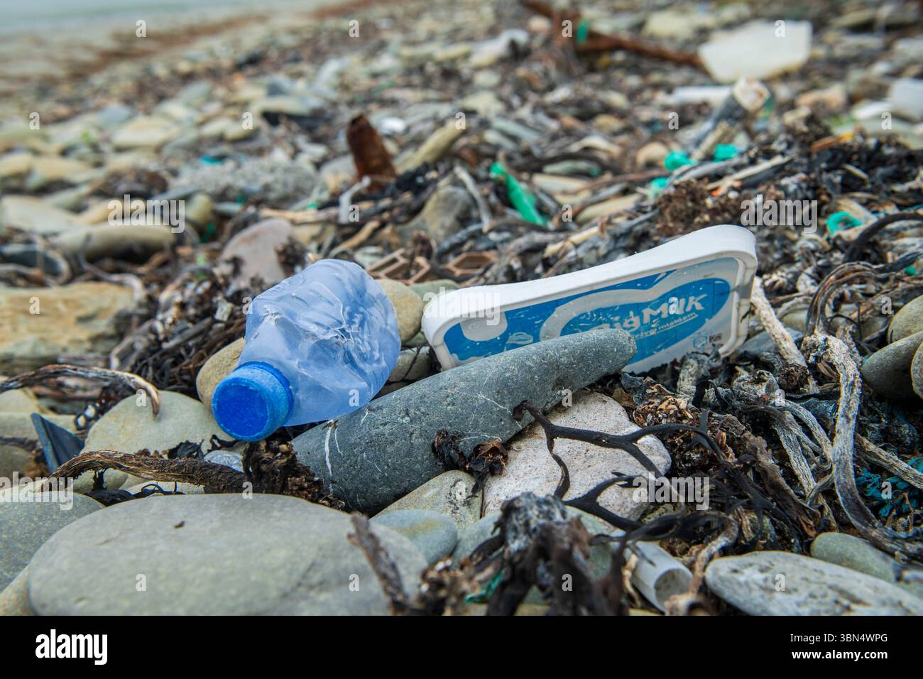 Litter mars a Shetland beach, highlighting the urgent need to protect ...