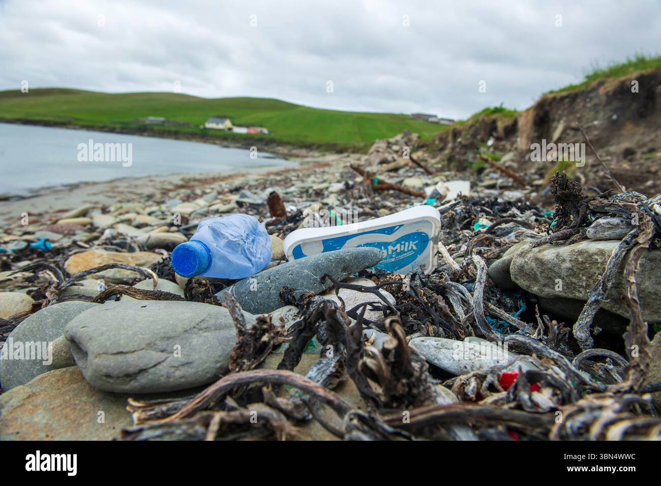 Litter mars a Shetland beach, highlighting the urgent need to protect ...