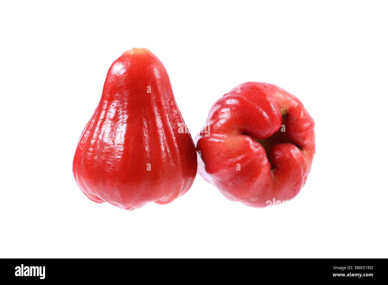 two rose apples isolated on white Stock Photo - Alamy