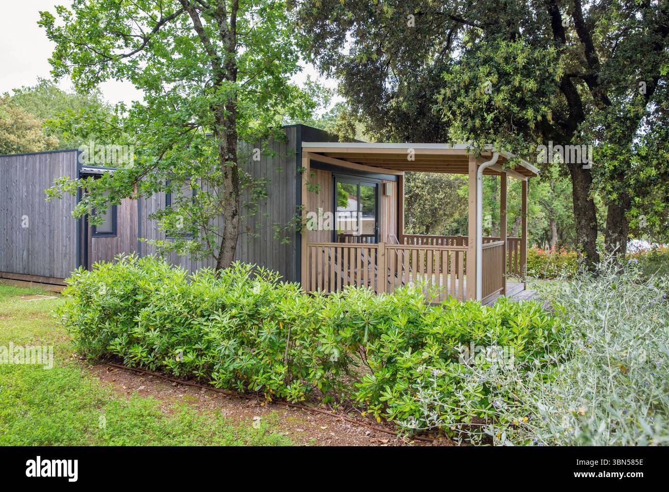 Small wooden cabin with a front porch, located in a quiet green forest ...