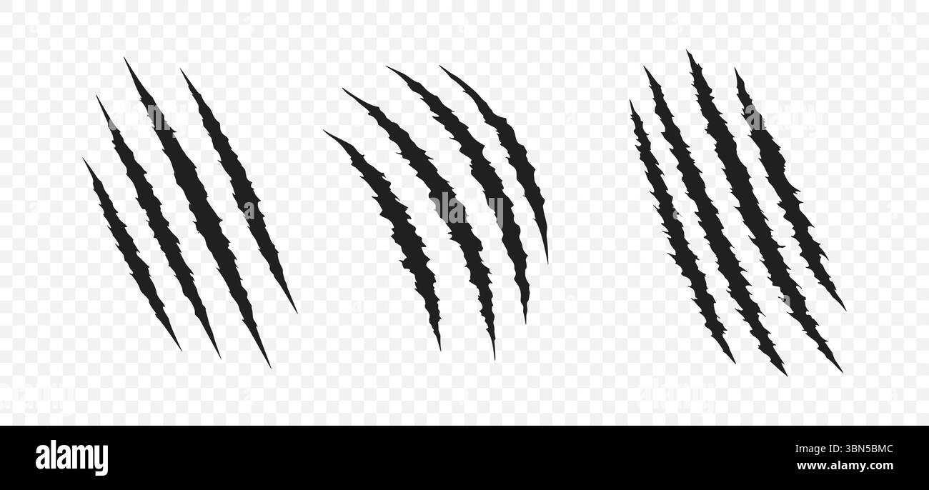 Scratch claw mark tiger bear paw icon. Animal lion slash claw vector ...