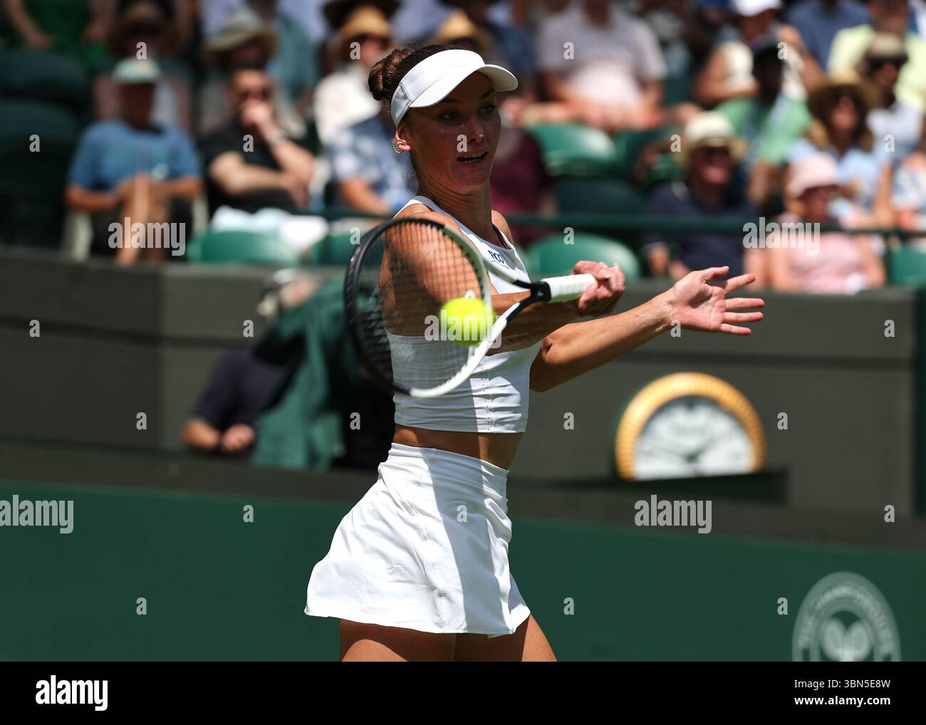 Carson branstine hi-res stock photography and images - Alamy