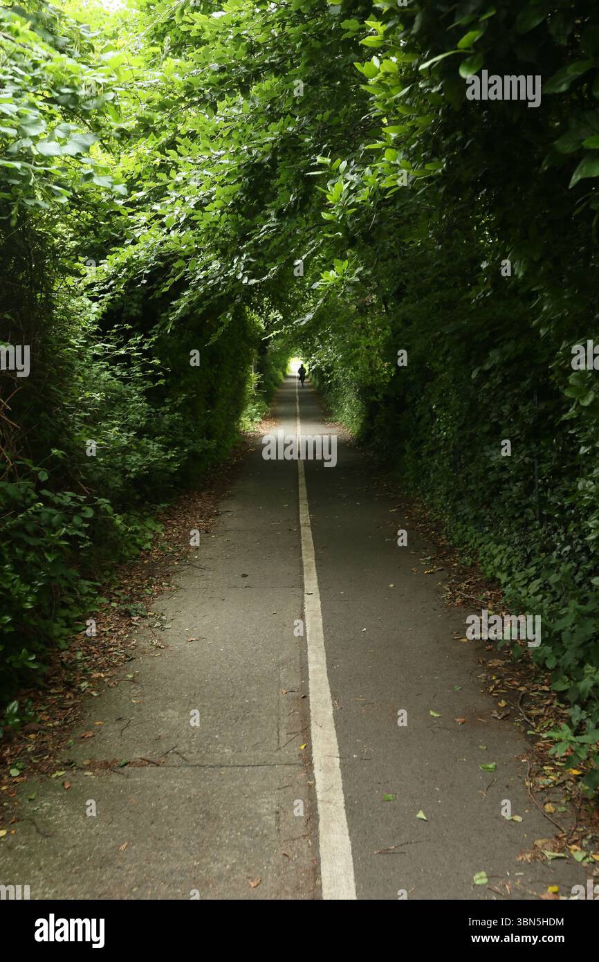 Dublin, Ireland - 4th June 2025 - A footpath and cycle lane divided by ...