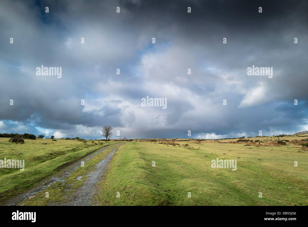 The old disused railway track on the wild windswept Craddock Moor on ...