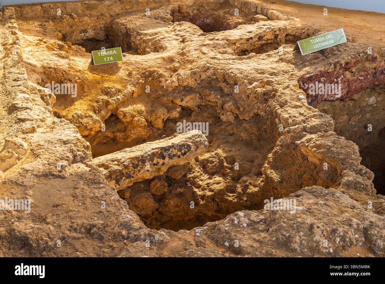 Remains of ancient Roman tombs discovered during archaeological ...