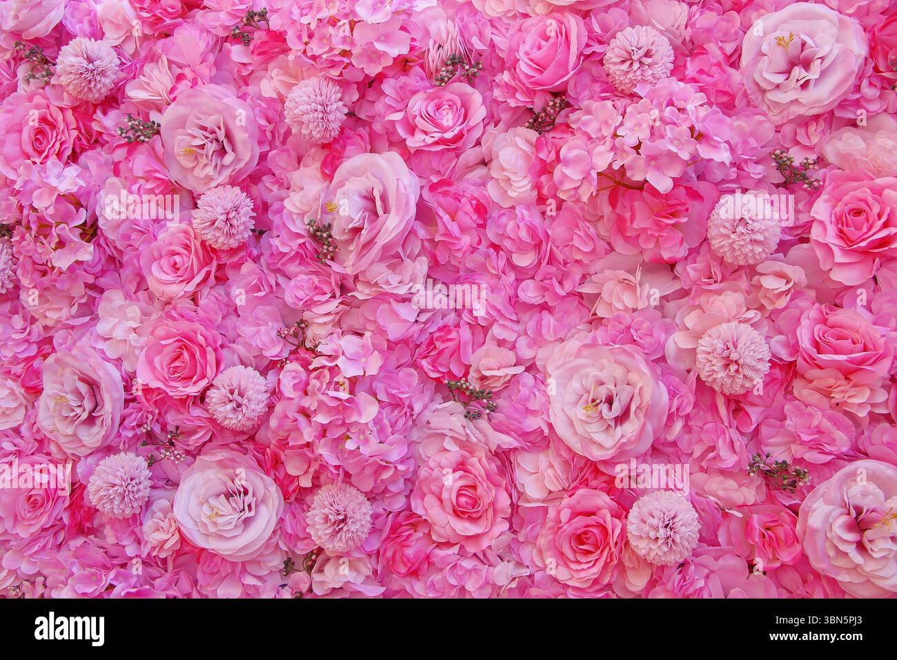 Backdrop colorful artificial flowers hi-res stock photography and ...