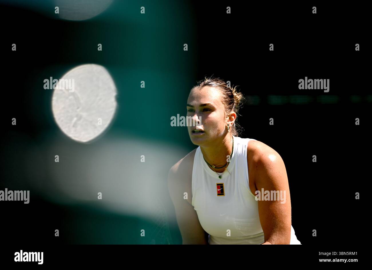 Carson branstine hi-res stock photography and images - Alamy