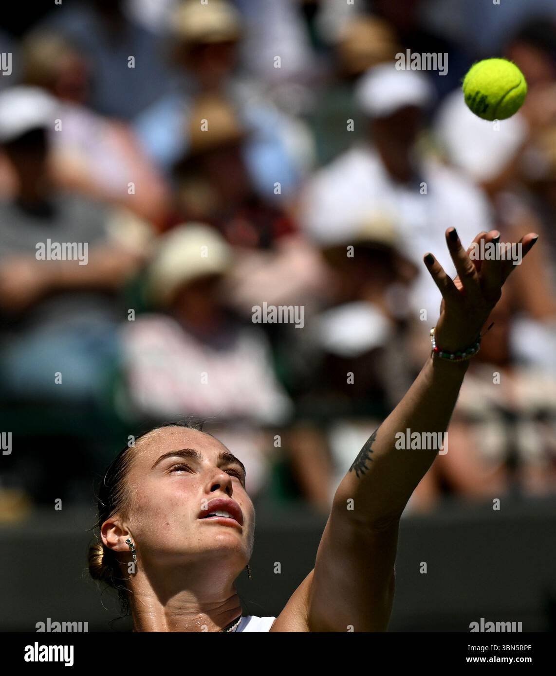 Carson branstine hi-res stock photography and images - Alamy