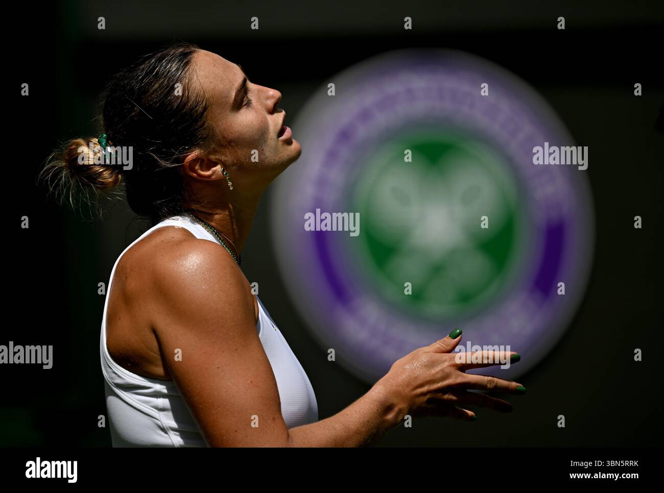 Carson branstine hi-res stock photography and images - Alamy