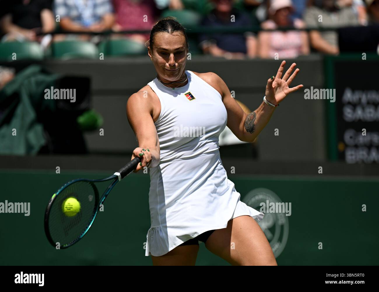 Carson branstine hi-res stock photography and images - Alamy