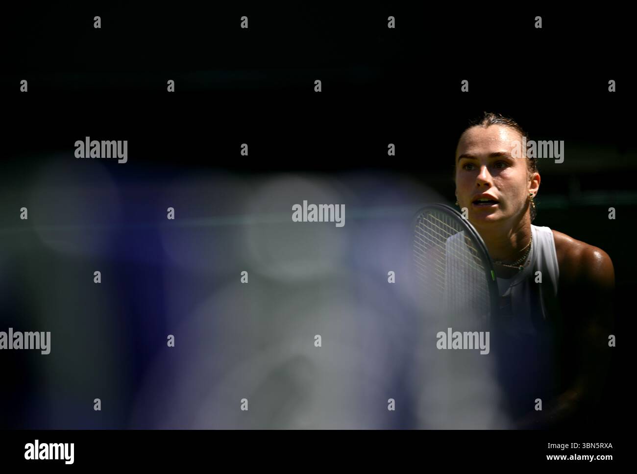 Carson branstine hi-res stock photography and images - Alamy