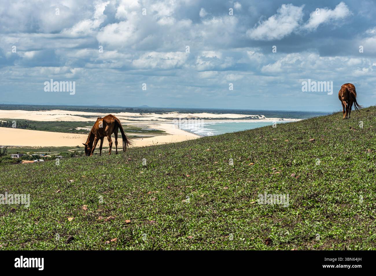 The beautiful Serrote de Jericoacoara trail along the coast and beaches ...