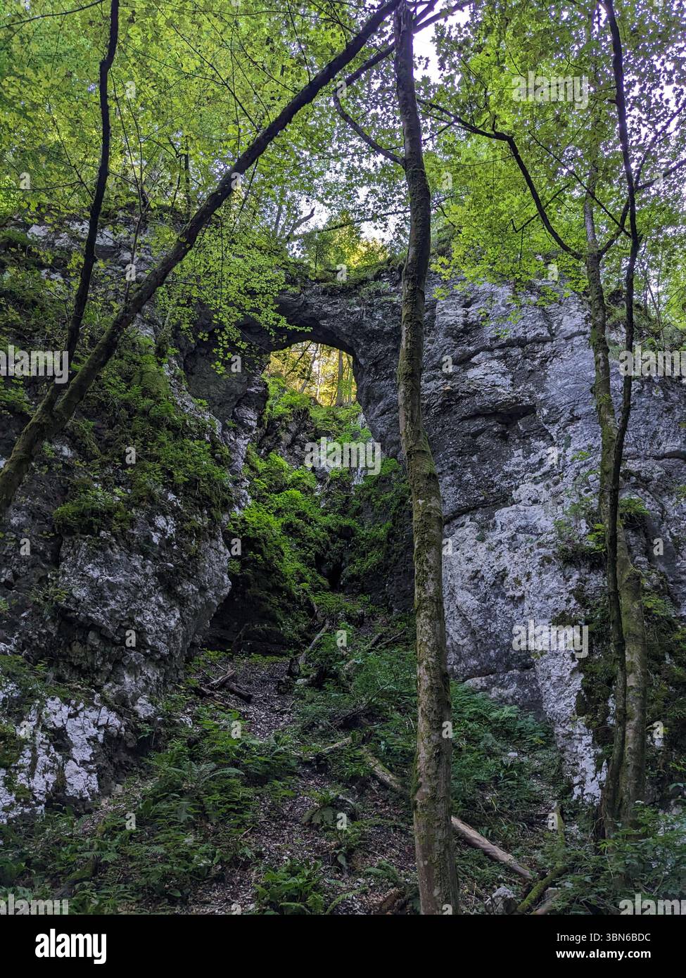 Deep narrow pokljuka gorge in hi-res stock photography and images - Alamy