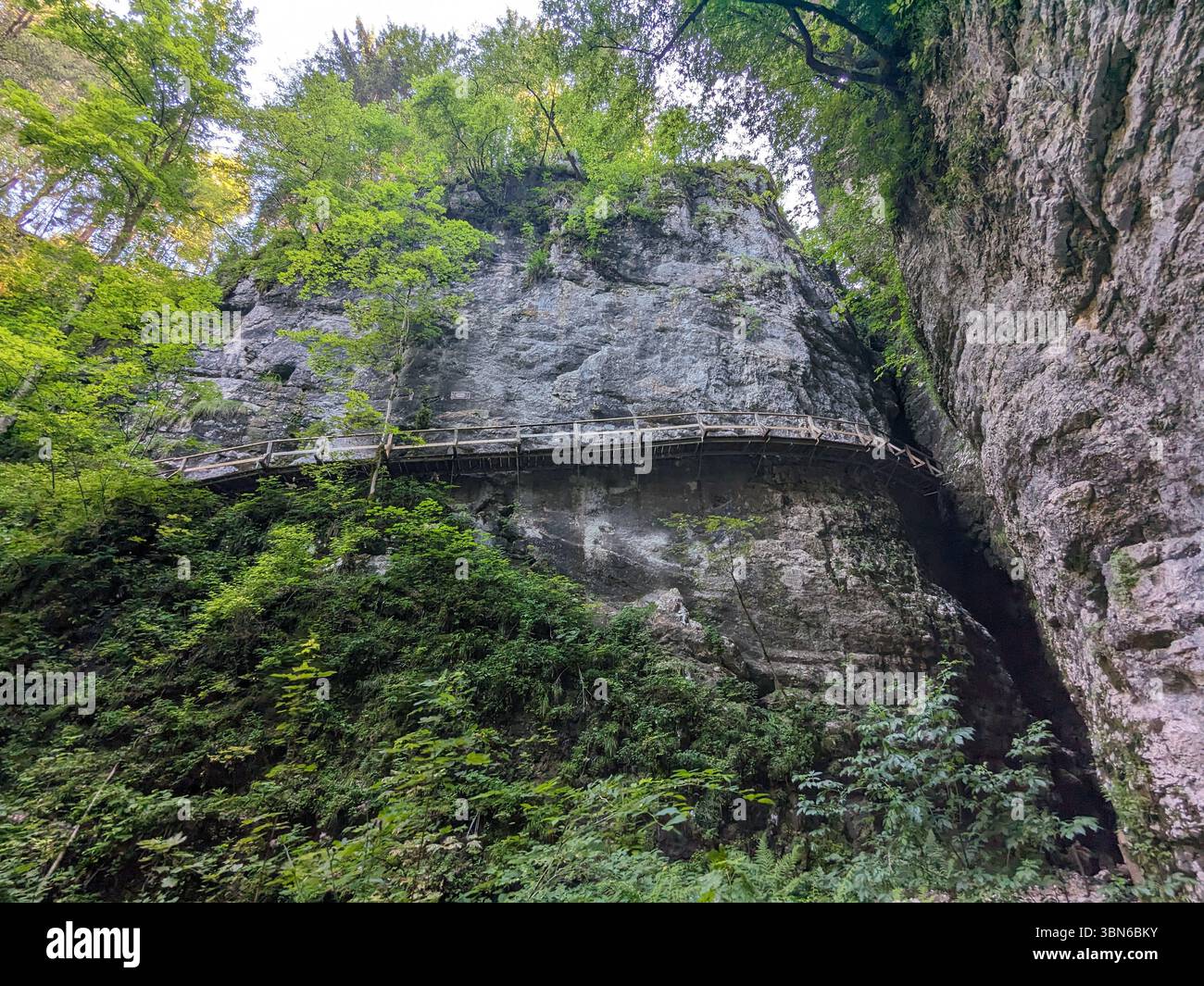 Deep narrow Pokljuka Gorge in Slovenia surrounded by steep cliffs ...
