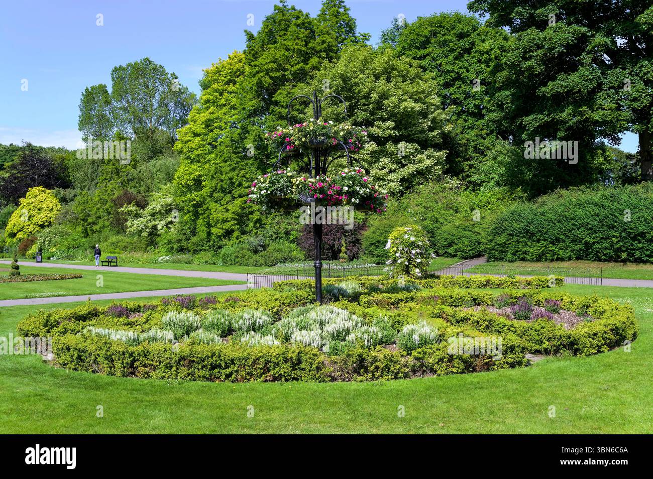 Summer floral displays in Seaton Public Park, Aberdeen, Scotland, UK ...