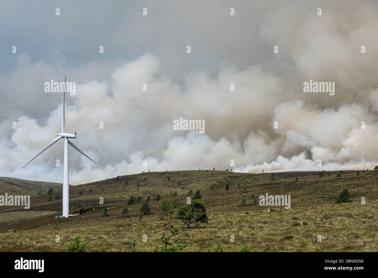 29 June 2025. Knockando,Moray,Scotland. This shows the very large wind ...