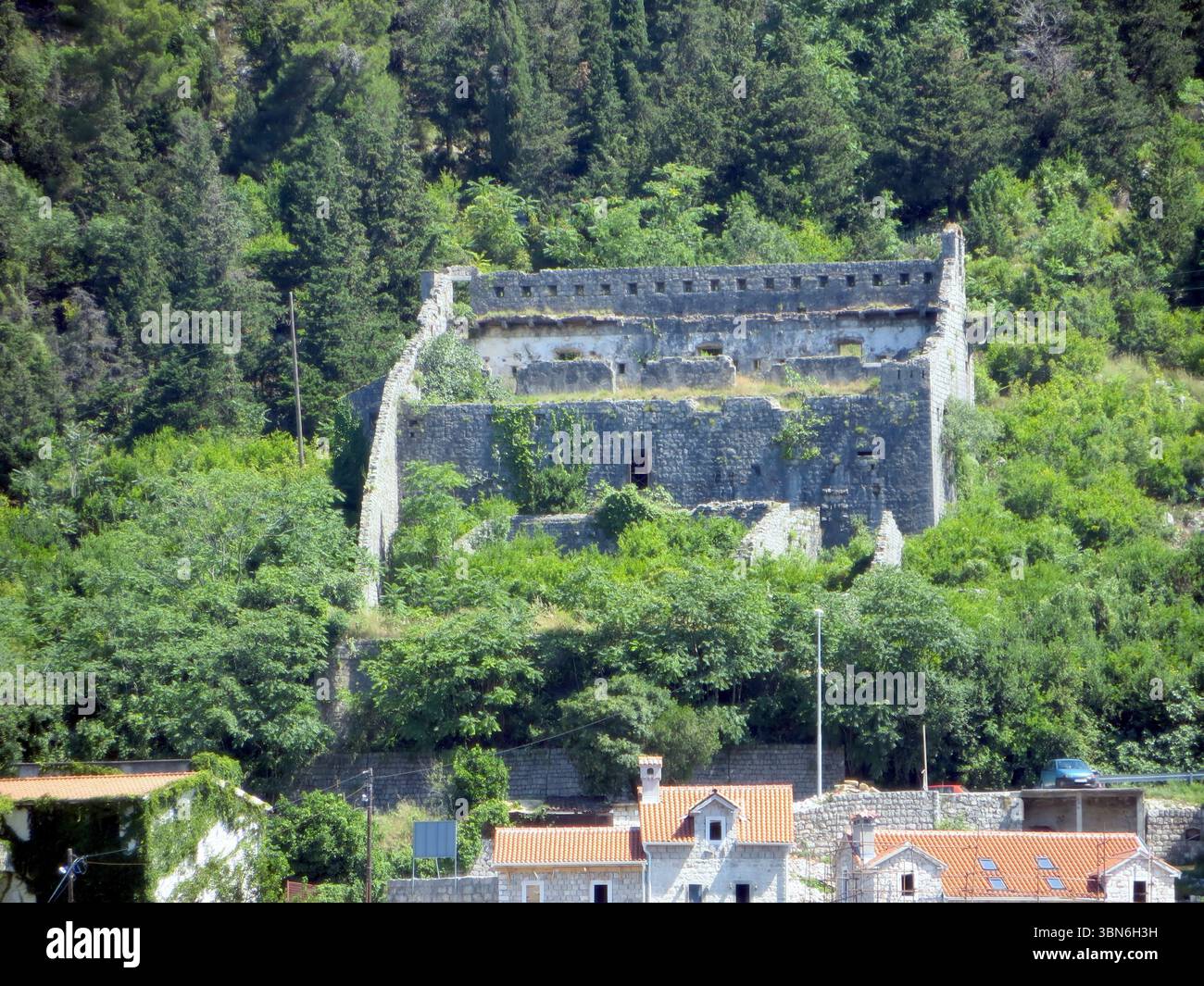 Ancient ruins rise amidst lush greenery in Perast, Montenegro ...